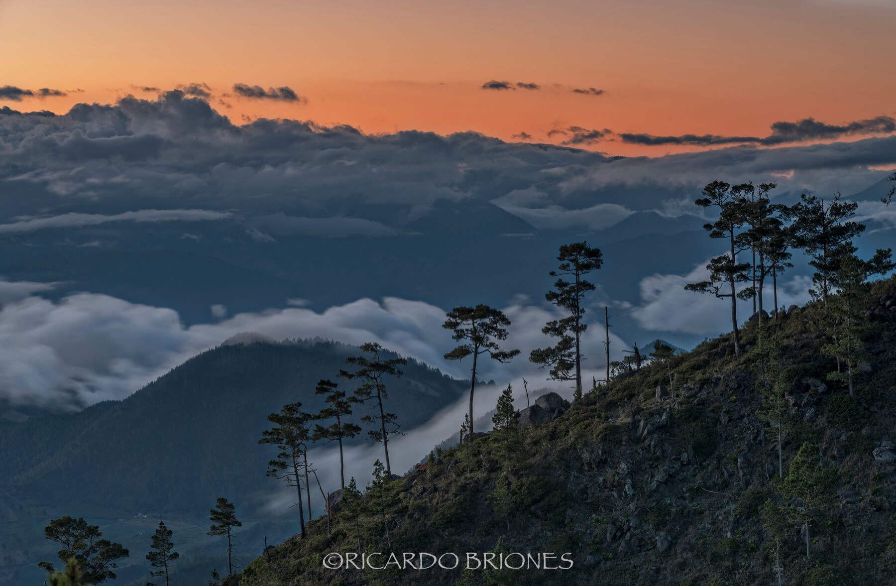 Ricardo Briones | Foto Guardianes