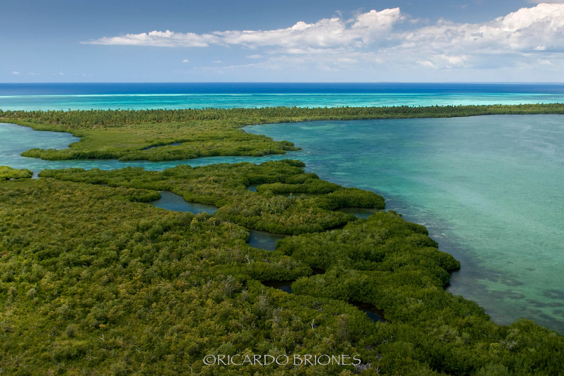 Ricardo Briones | Foto Guardianes